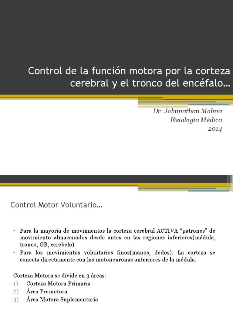 Función Promotora de La Corteza Cerebral 2020 | PDF | Cerebelo | Cerebro