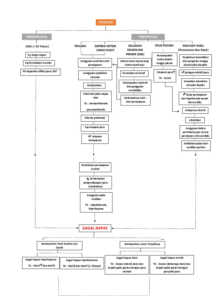 Gagal Napas Pathway | PDF