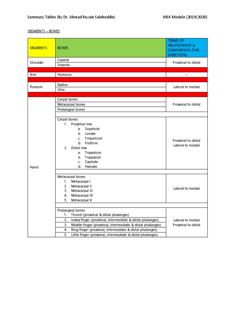 MSK Module Summary: Bones, Muscles, Fasciae | PDF | Thumb | Arm