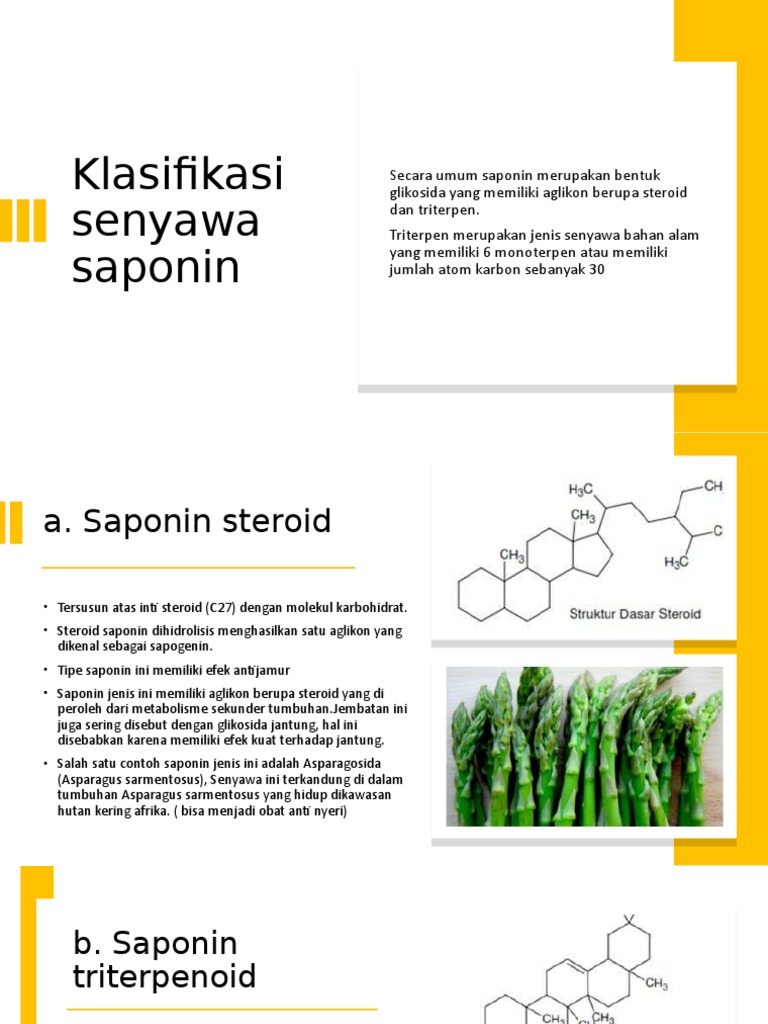 Klasifikasi Jenis Saponin Berdasarkan Struktur Aglikonnya | PDF