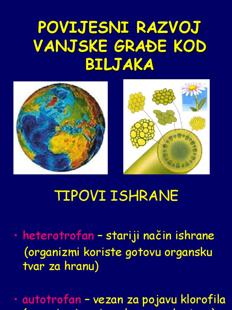 Nastanak Vegetativnih Organa, Stabljika I Dio PDF | PDF