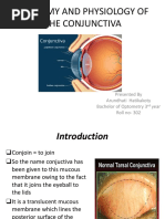 Anatomy and Function of Nasal Conchae | PDF | Human Nose | Rhinology
