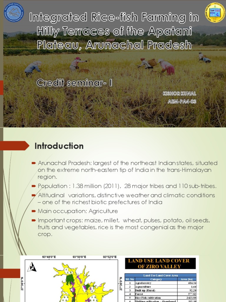 Integrated Rice-Fish Farming in Hilly Terraces of The PDF | PDF | Rice ...