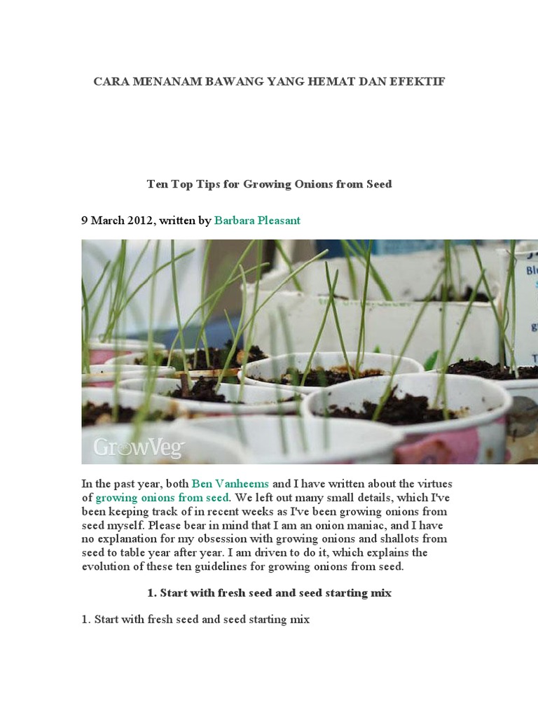 Tips for Effective Onion Planting | PDF | Onion | Seedling