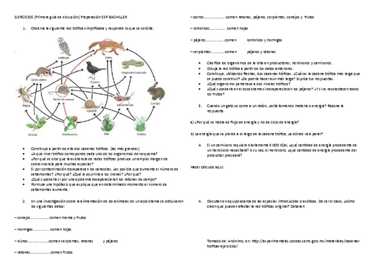 ejercicios-de-ecolog-a-redes-tr-ficas-pdf-red-alimentaria-ecolog-a
