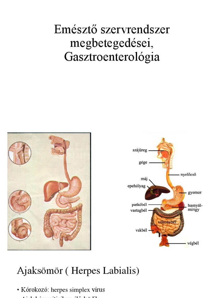 Emésztő Szervrendszer Megbetegedései, GasztroenterológiaRF | PDF