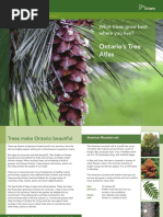 Tennessee Tree Identification Guide | PDF | Trees | Oak