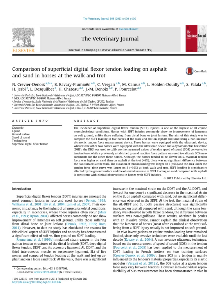 SDFT Loading Higher on Sand vs Asphalt in Horses | PDF | Horse Gait ...