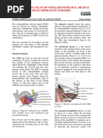 Modified Radical Neck Dissection Steps | PDF | Common Carotid Artery | Neck