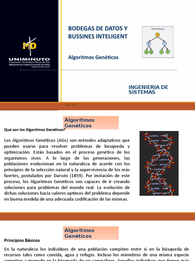 Algoritmos Geneticos | PDF | Algoritmo genético | Algoritmos