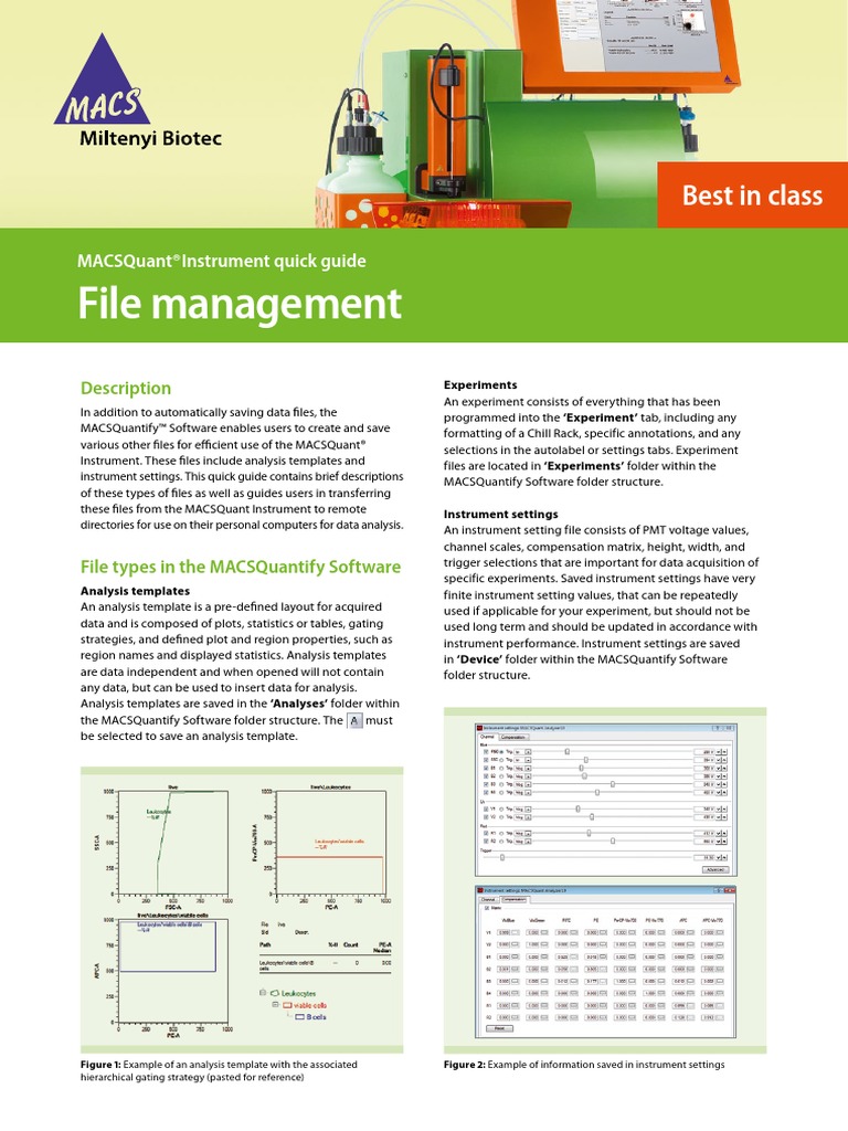 File Management: Best in Class | PDF | Backup | Computer File