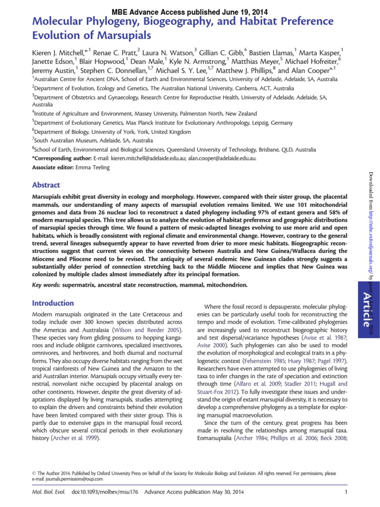Marsupial Evolution and Biogeography Insights | PDF | Phylogenetic Tree ...