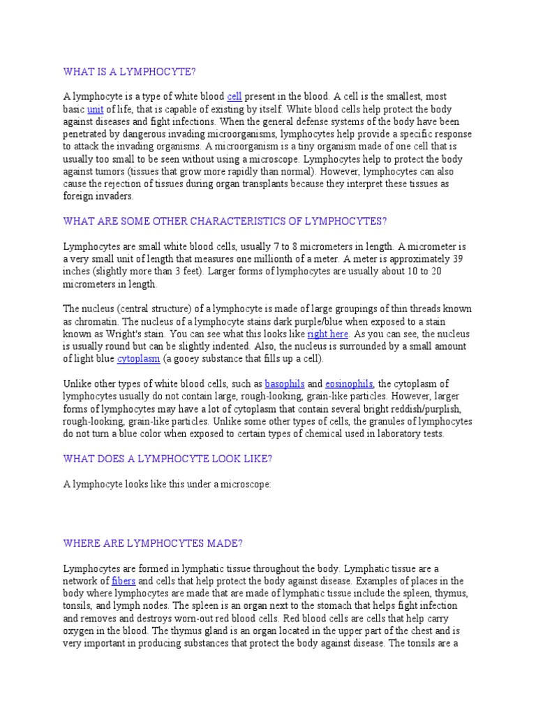 A Comprehensive Overview of Lymphocytes: Their Structure, Function ...