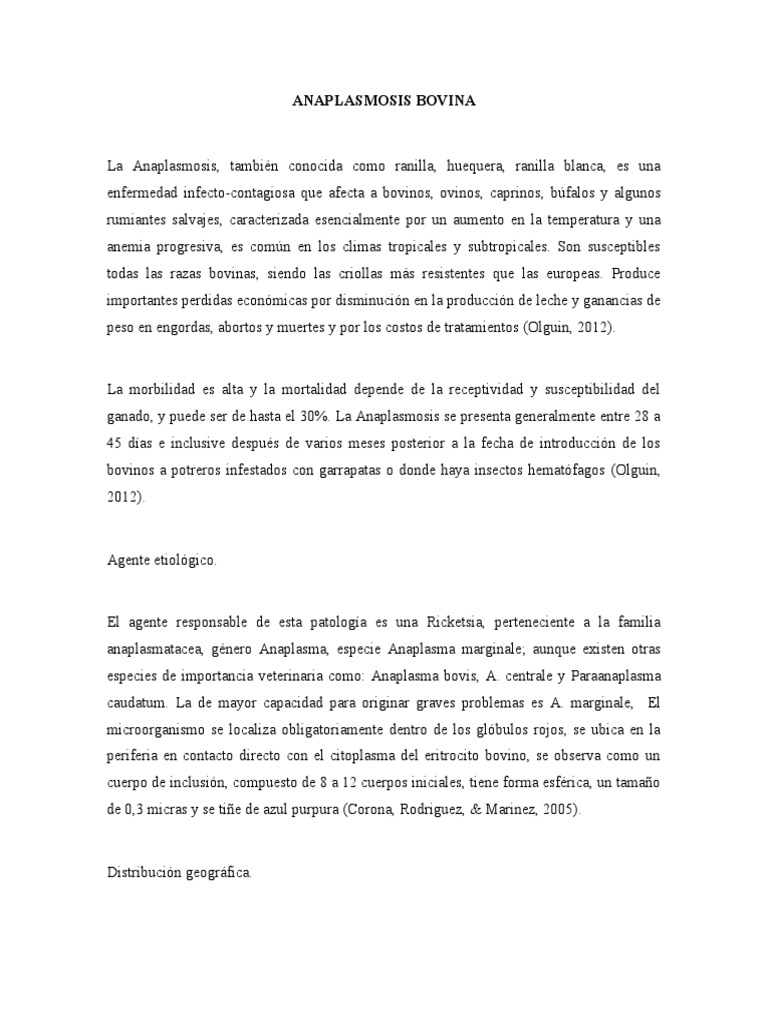 Anaplasmosis Bovina | PDF | Vacas | Anemia