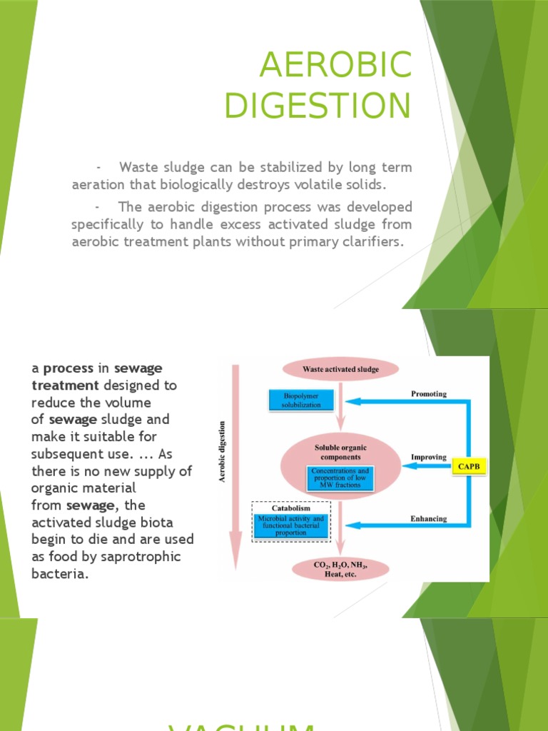 Waste Water Processing Aerobic Digestion | PDF | Filtration | Sewage ...
