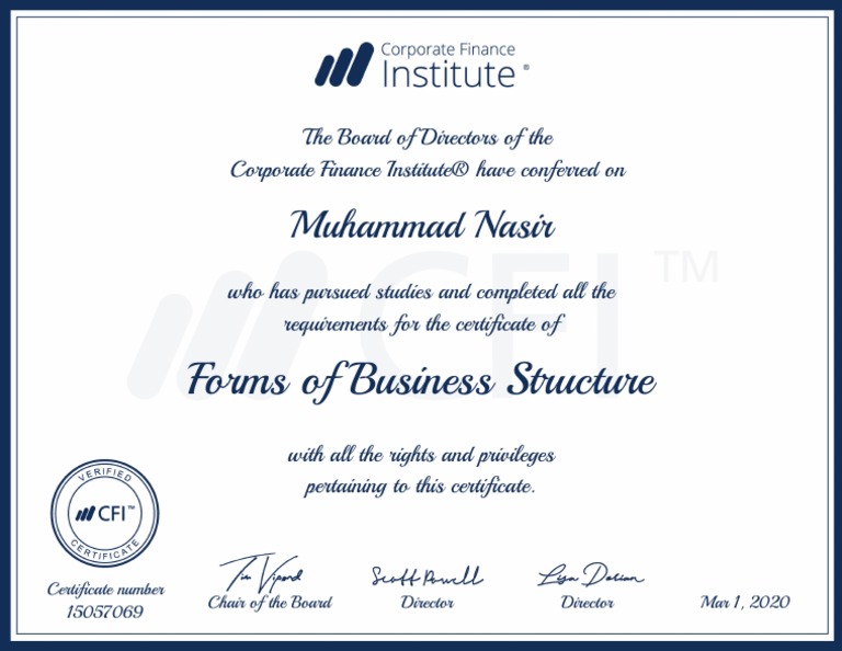 Forms of Business Structure | PDF