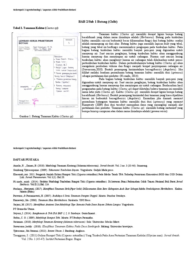 Prank | PDF | Sains & Matematika