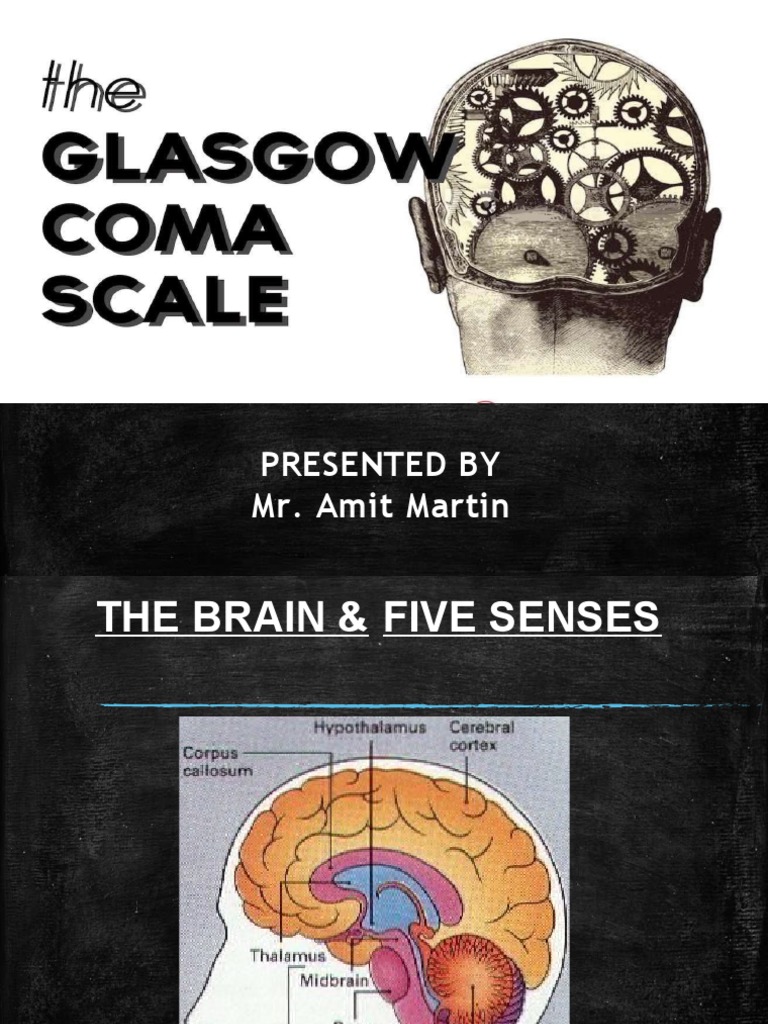 Glasgow Coma Scale | PDF | Brainstem | Cerebral Hemisphere