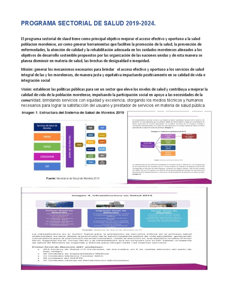Programa Sectorial de Salud | PDF