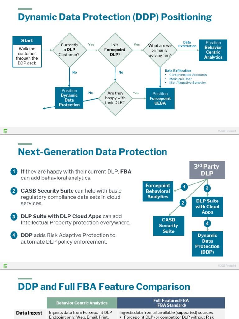 Dynamic Data Protection (DDP) Positioning: Start | PDF | Analytics ...
