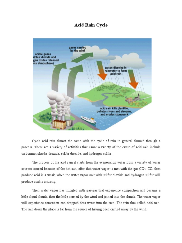 Understanding the Acid Rain Cycle | PDF | Art