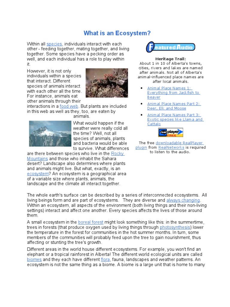 What Is An Ecosystem | PDF | Ecosystem | Natural Environment