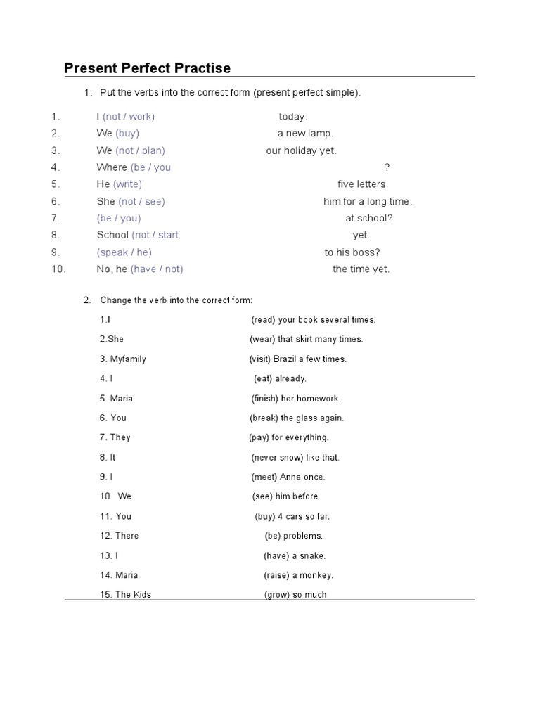 Present Perfect Verb Exercises | PDF
