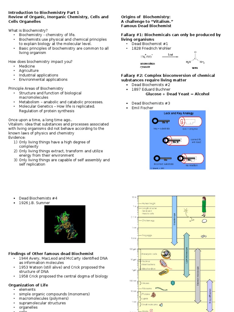 Introduction To Biochemistry Part 1 | PDF | Biochemistry | Chemistry
