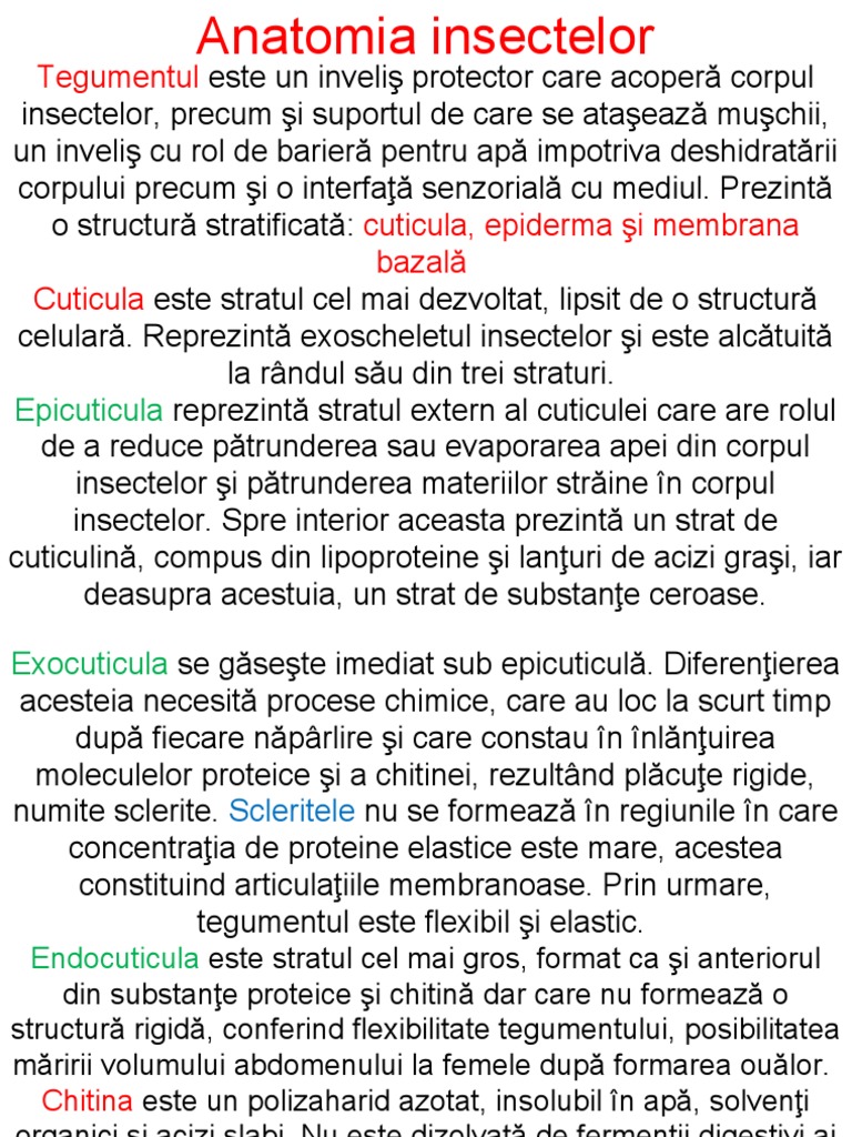 Anatomia Insectelor 1 | PDF