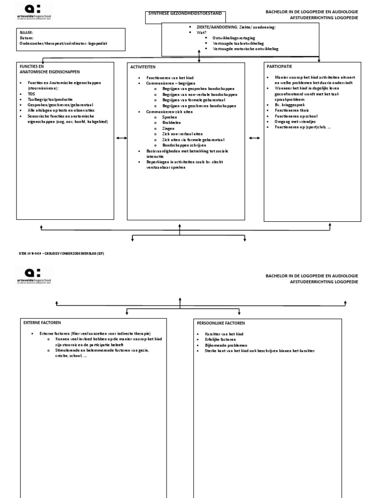 Algemeen Taal ICF-schema | PDF