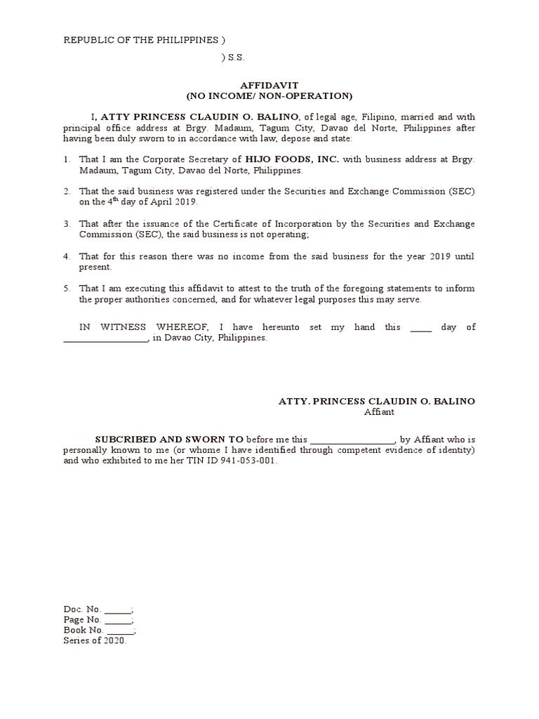 Affidavit of No Income | PDF