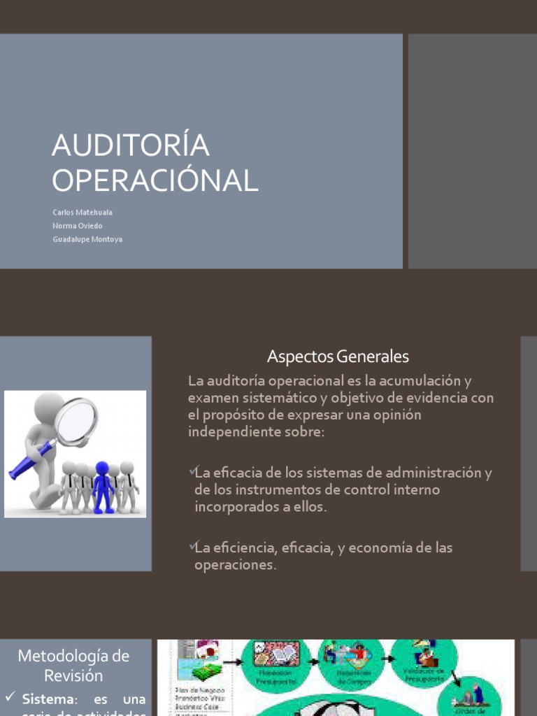Auditoría Operaciónal | PDF | Auditoría | Contralor