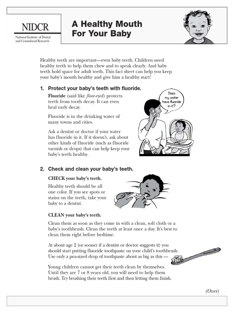 Healthy Baby Fact Sheet | PDF | Dentistry | Tooth