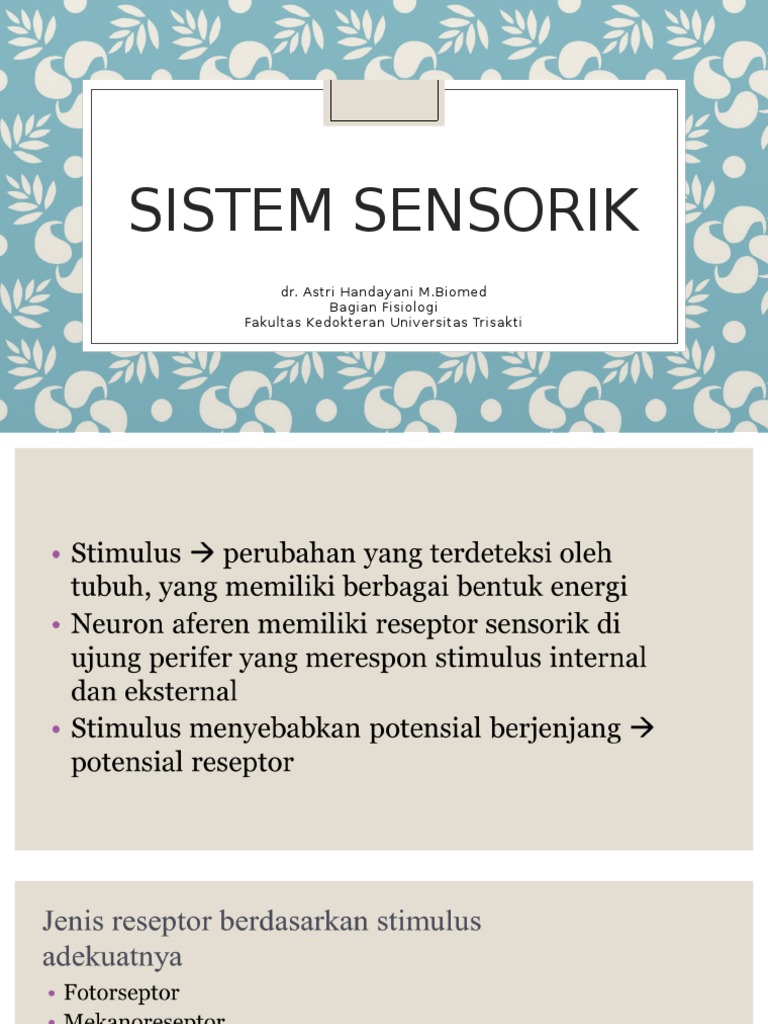 Sensorik AstriUpdated18Des19 | PDF | Pain | Somatosensory System