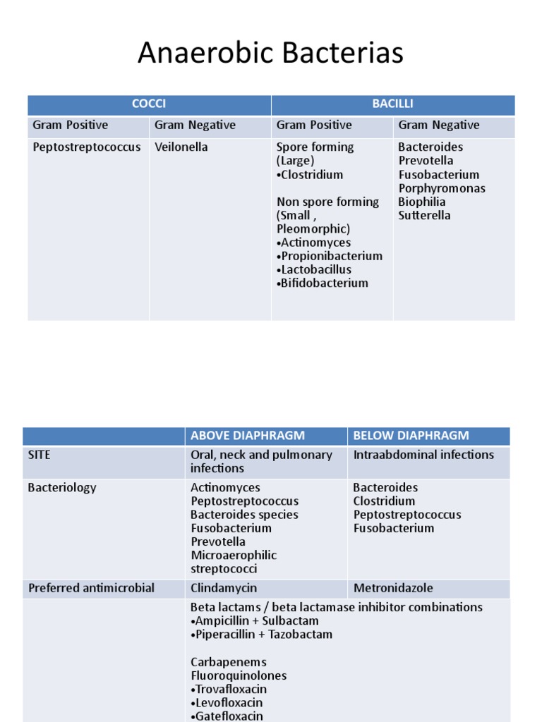 Antibiotic Guideline | PDF | Bacteria | Microorganism