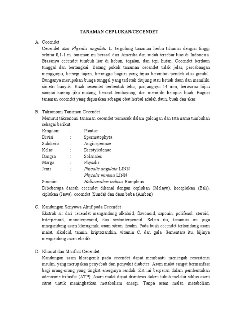 Tanaman Ceplukan/Cecendet: Physalis Angulata LINN Physalis Minima LINN ...