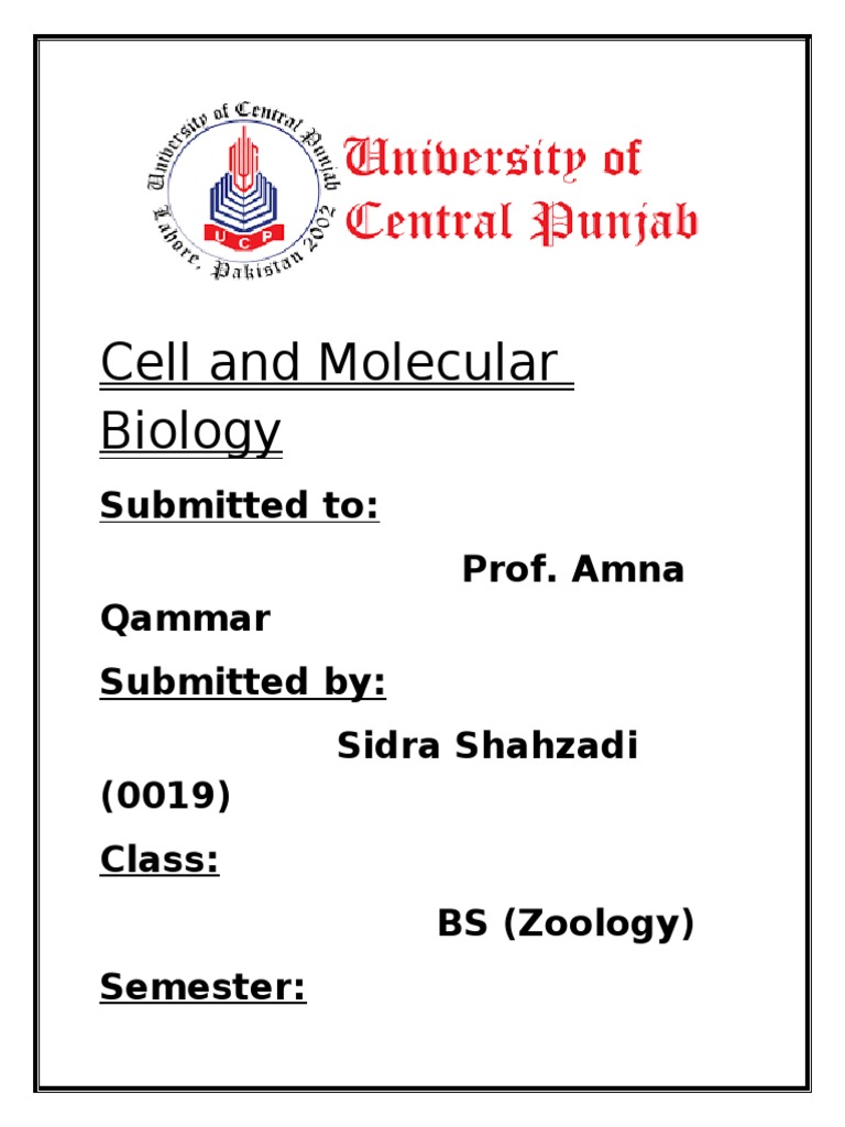 Cell and Molecular Biology | PDF | Genetic Code | Mutation