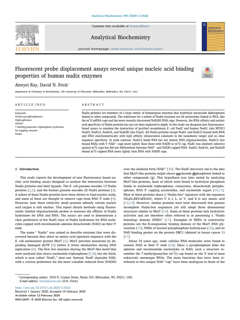 Fluorescent Probe Displacement Assays Reveal Unique Nucleic Acid ...