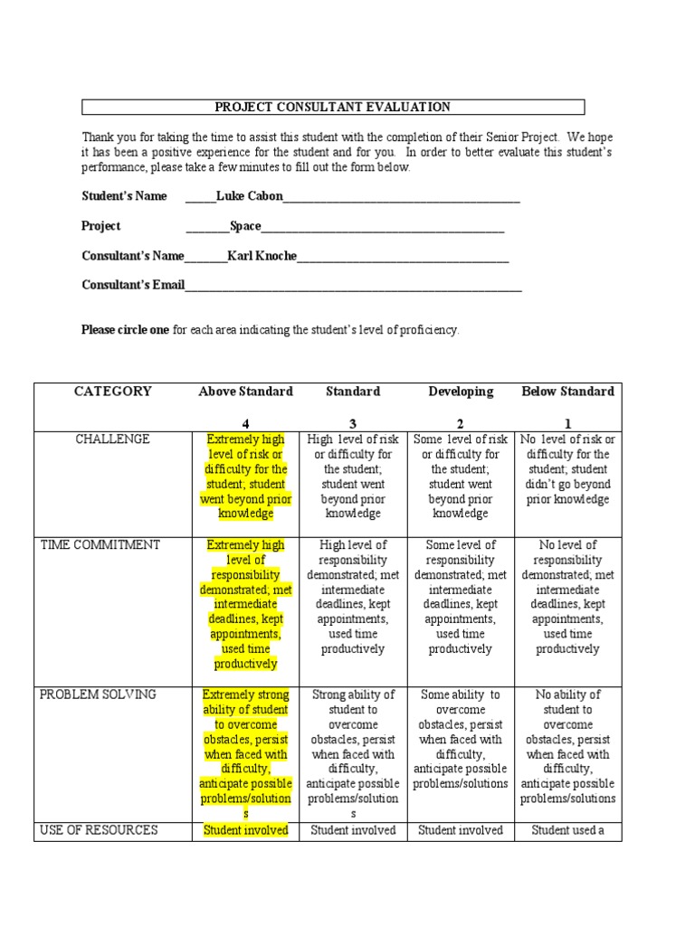 Project Consultant Evaluation 2 | PDF | Creativity | Psychological Concepts