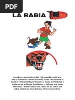 Tríptico - Eda | PDF | Heces | Diarrea