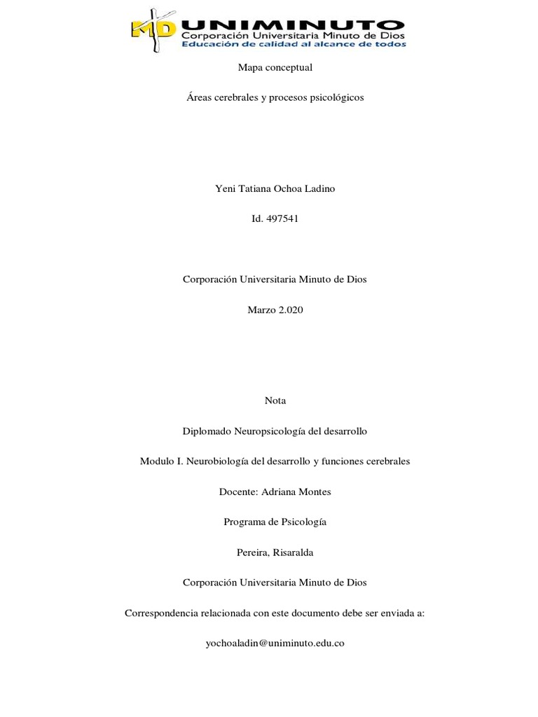 Mapa Conceptual Funciones Ejecutivas Pdf Cerebro Funciones Ejecutivas