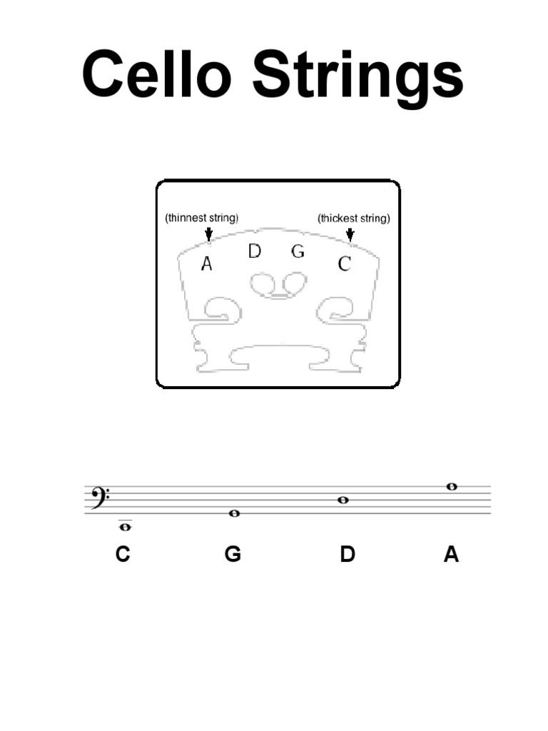 Cello Strings and Notes Overview | PDF