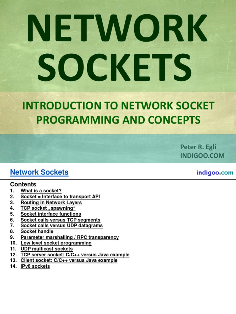 Network Sockets | PDF | Network Socket | Port (Computer Networking)