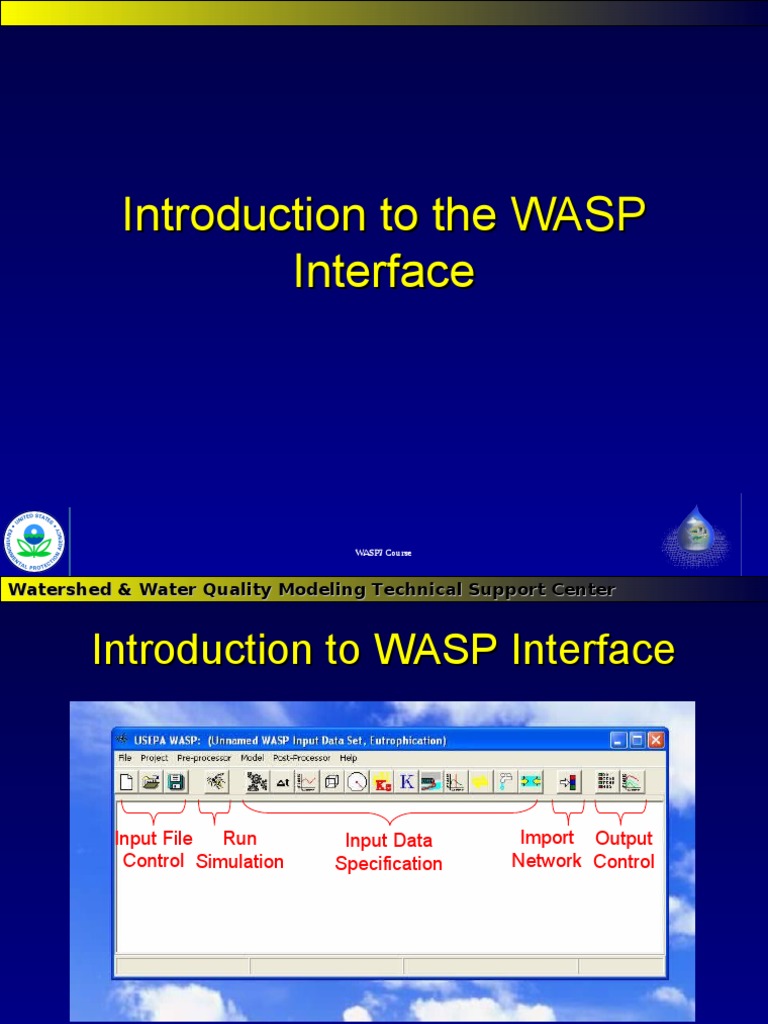 Introduction To Wasp Interface | PDF | Simulation | Water Quality