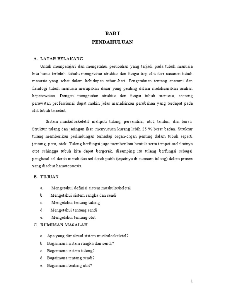 KMB 3 Anfis Muskulo | PDF