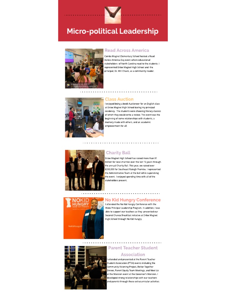 Micro Political Leadership | PDF