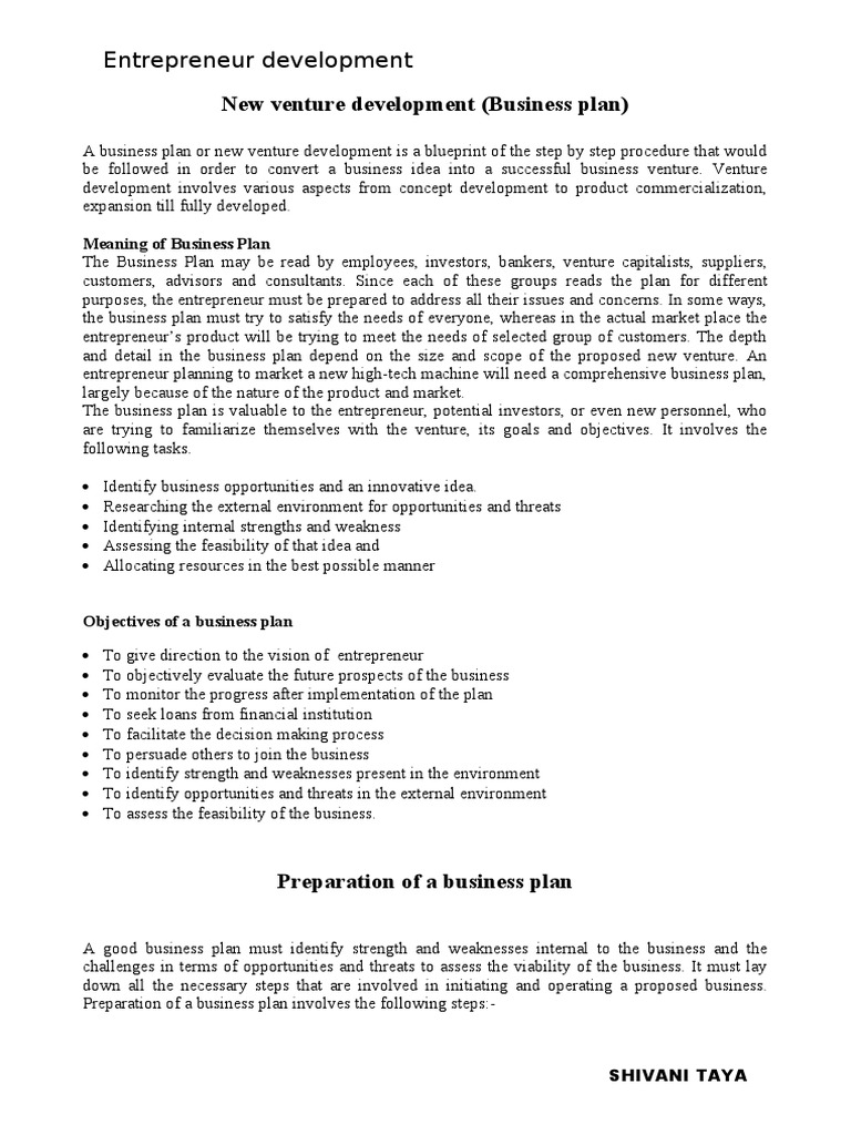 New Venture Development (Business Plan) | PDF | Feasibility Study ...