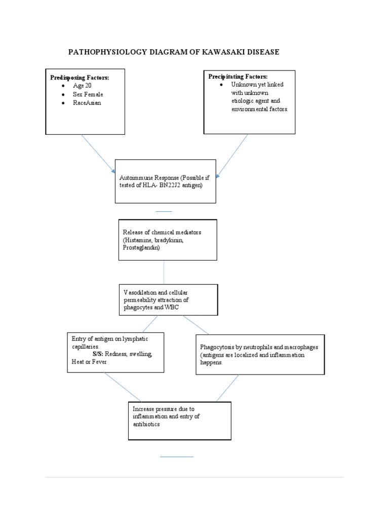 Pathophysiology Diagram of Kawasaki Disease: Precipitating Factors ...