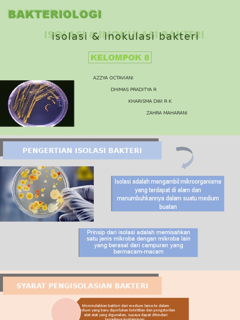 Isolasi Dan Inokulasi Bakteri | PDF