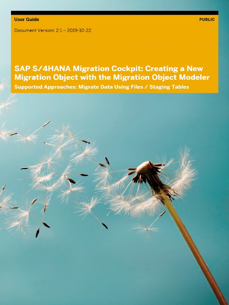 S 4HANA Migration Object Modeler 1586289682 | PDF